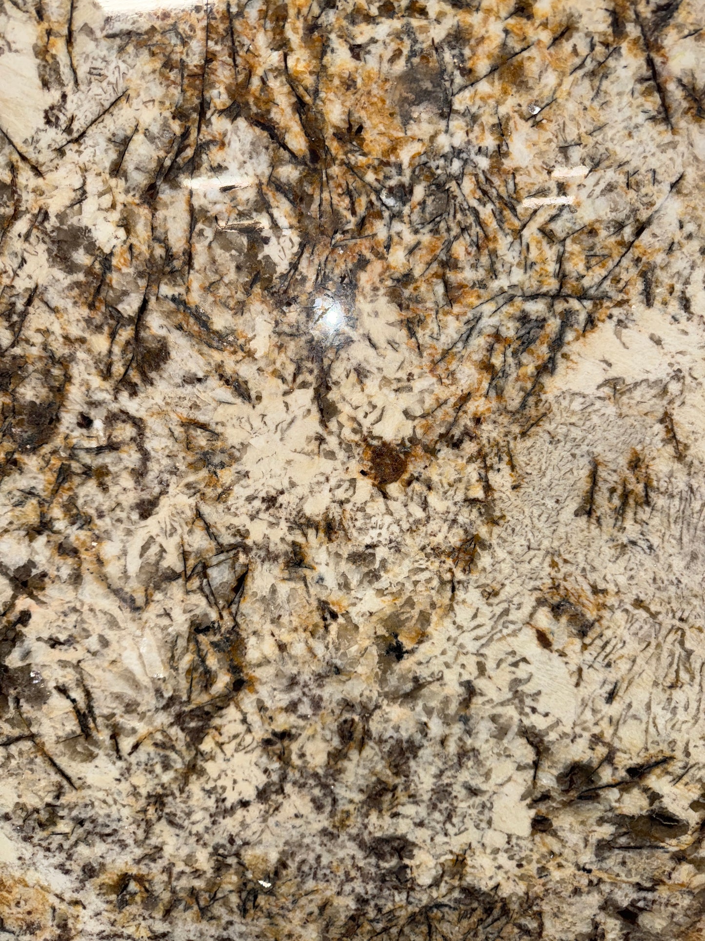 Delicatus Gold – Daltile Philadelphia