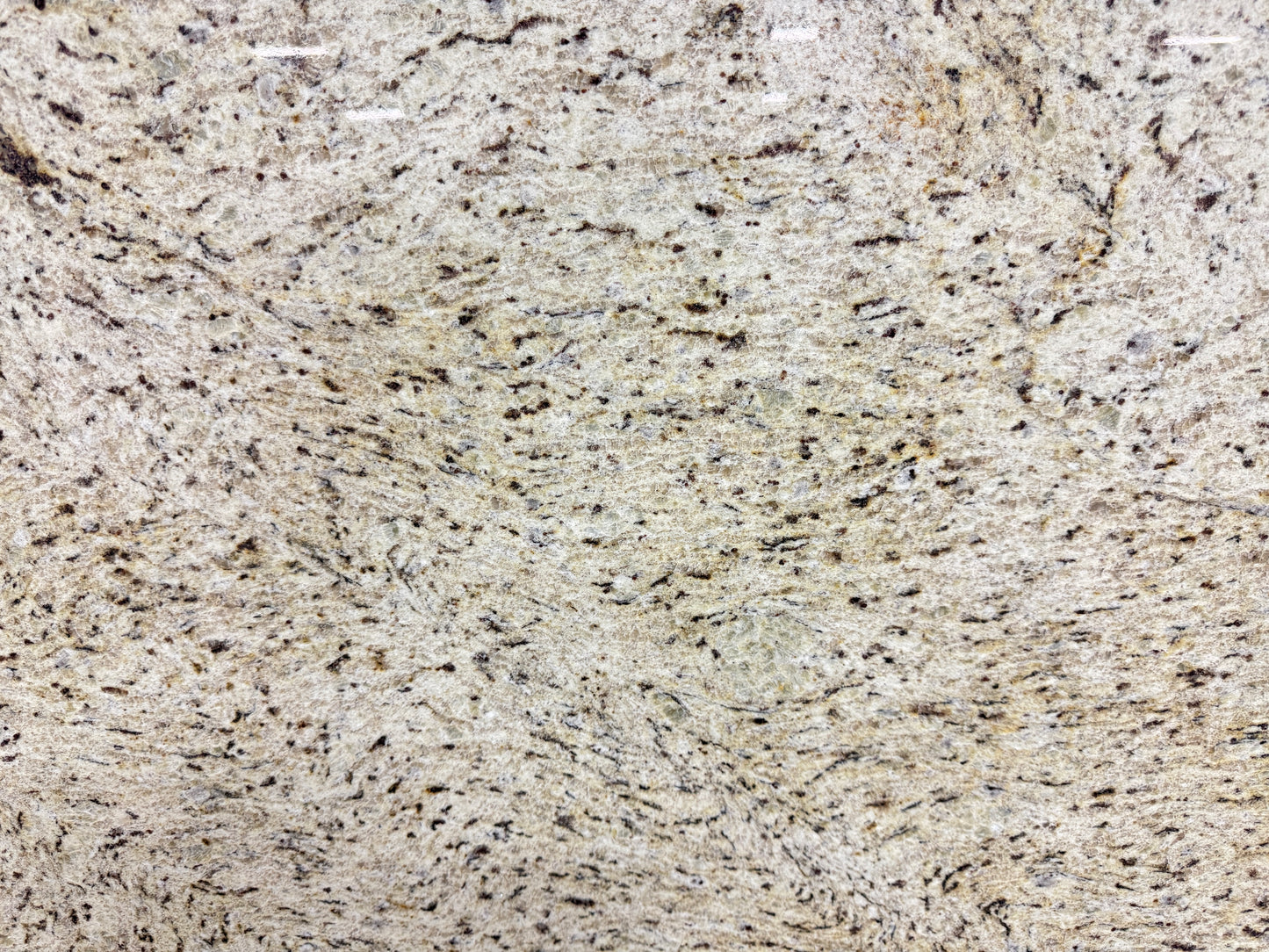 Giallo Ornamental – Daltile Philadelphia