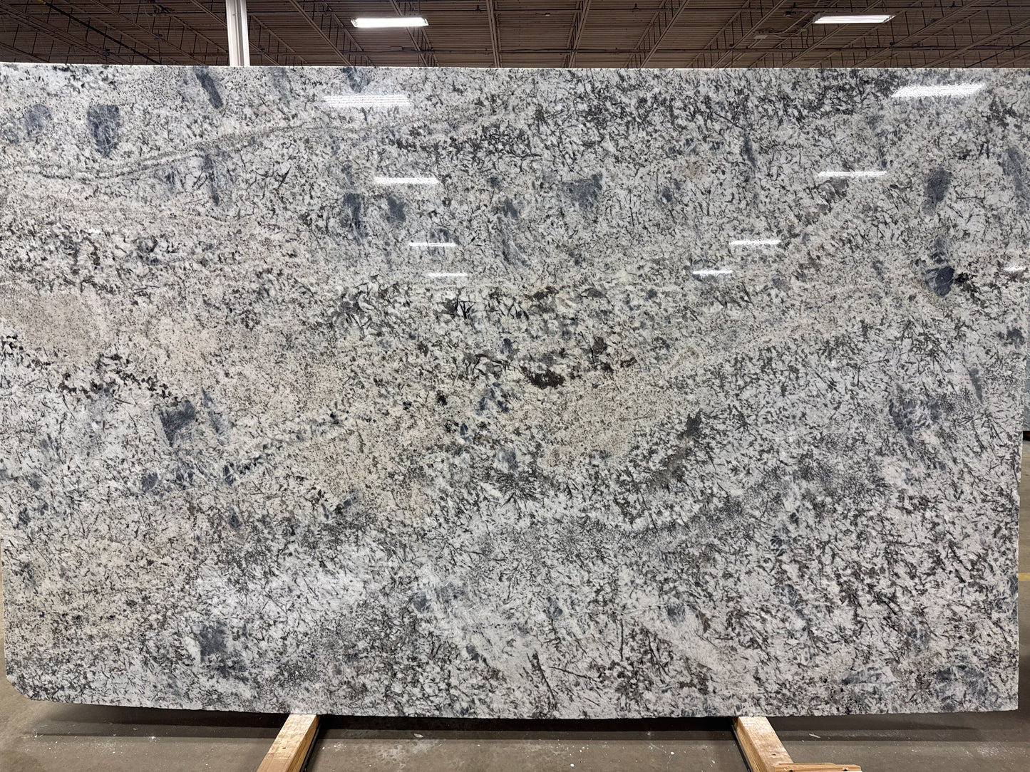 Enchanted Forest – Daltile Philadelphia