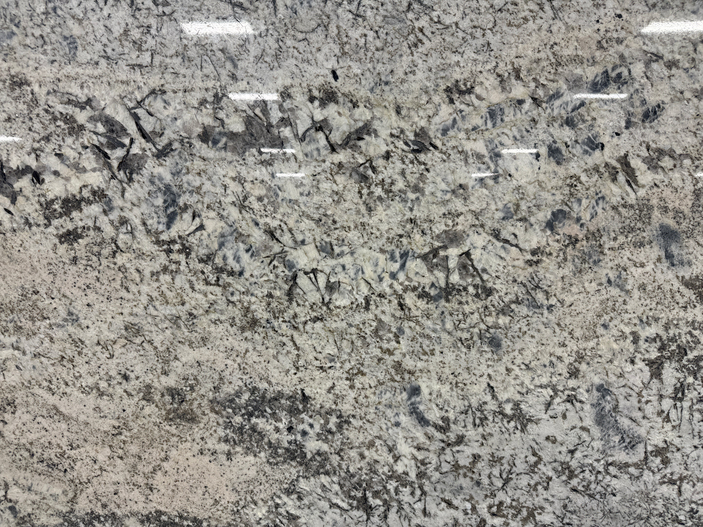 Enchanted Forest – Daltile Philadelphia